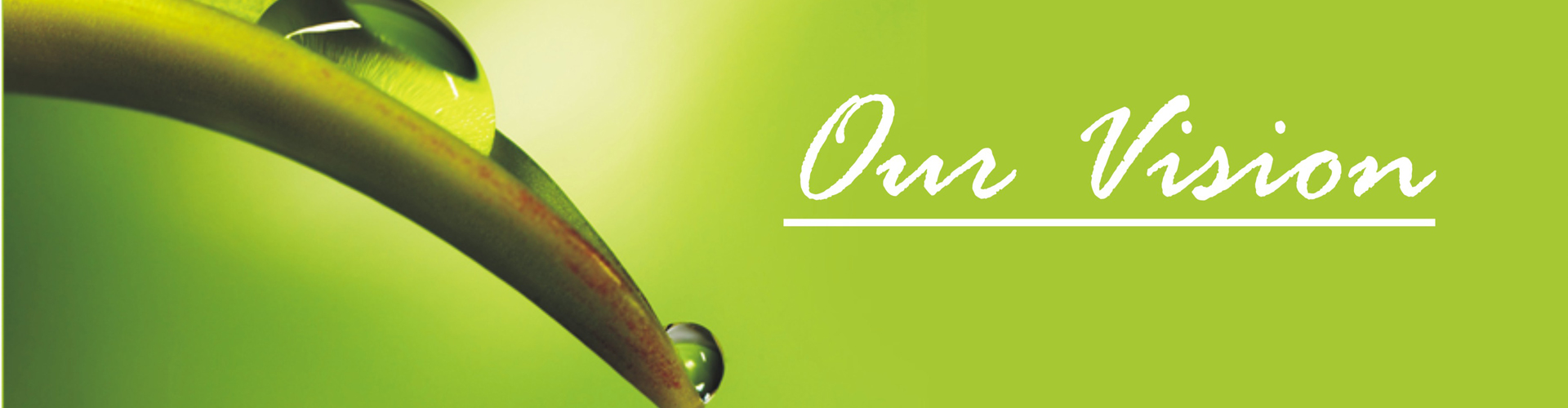 Thanjavur Central Cooperative Bank - VISION